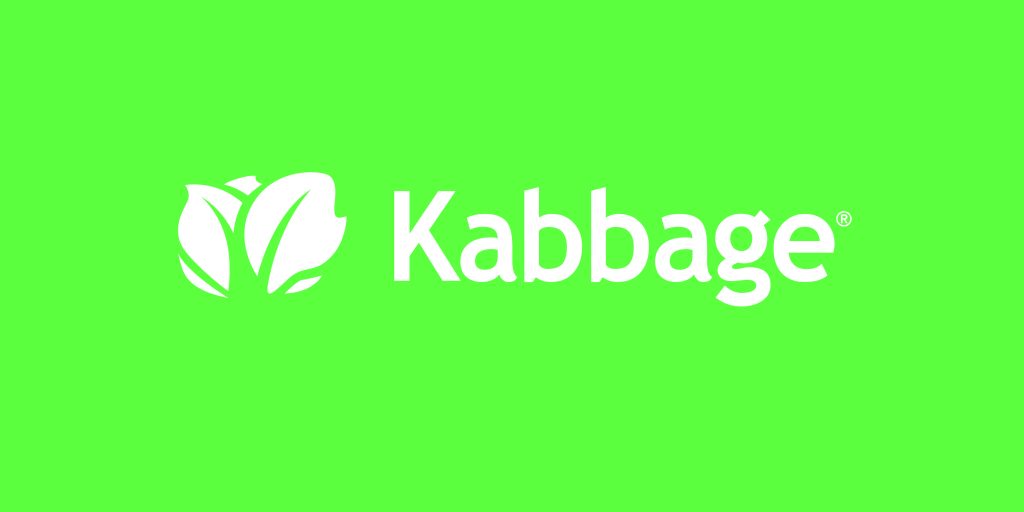 Online Lender Kabbage Among Largest PPP Loan Processors