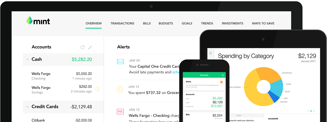 Mint Money Management App Review